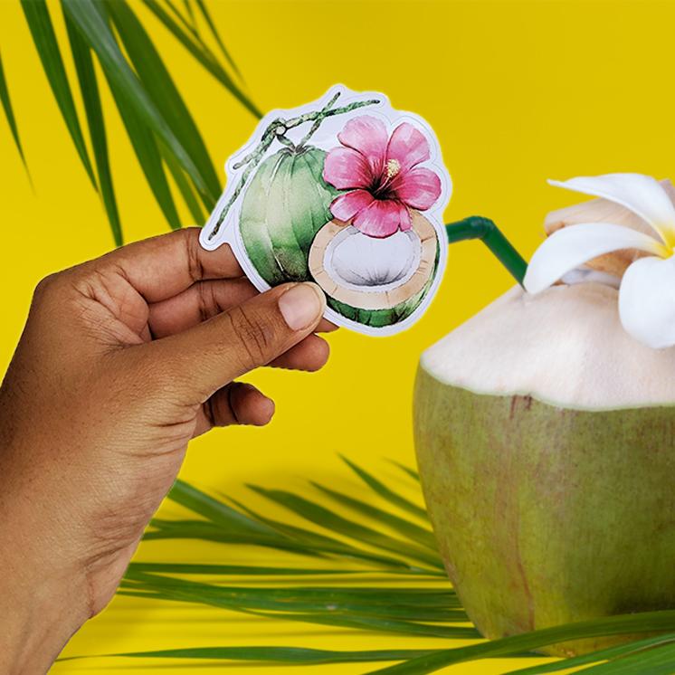 Sticker Coco Caribeño | Fruta Tropical de Puerto Rico | Vinil – Patria ...